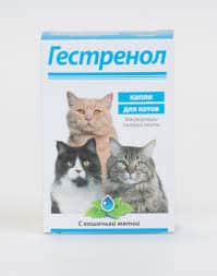 Капли Гестренол для кошек: способ применения и дозировка